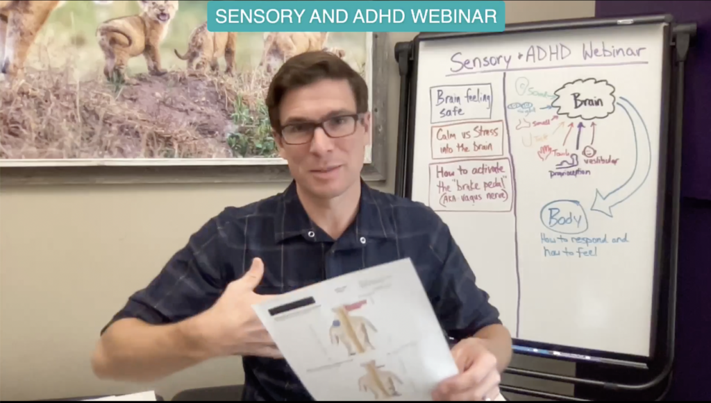 Sensory & ADHD Webinar - Better Understand How to Help Your Child ...