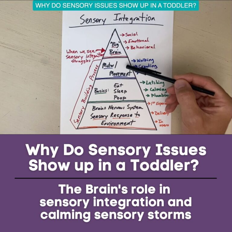 Why do SENSORY issues show up in a toddler? Discover the Brain's role ...