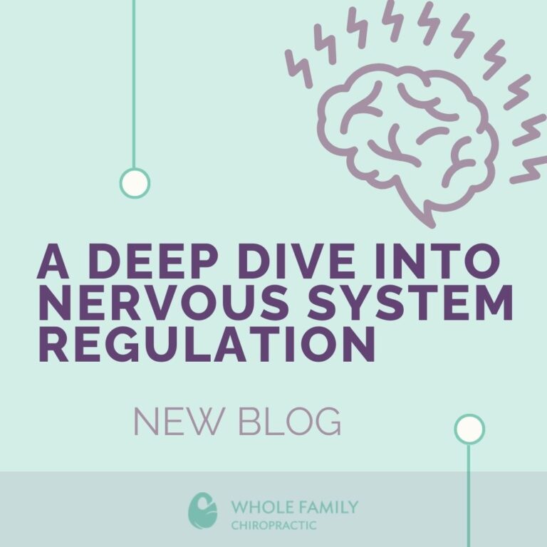 A Deep Dive into Nervous System Regulation - Whole Family Chiropractic ...