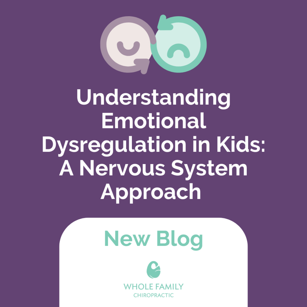 Understanding Emotional Dysregulation in Kids: A Nervous System ...